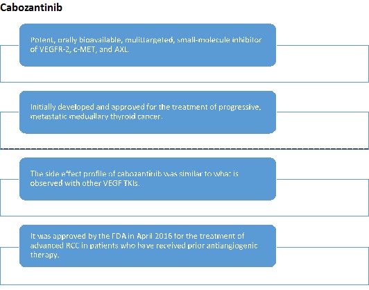 Cabozantinib as first-line therapy in patients with metastatic ...